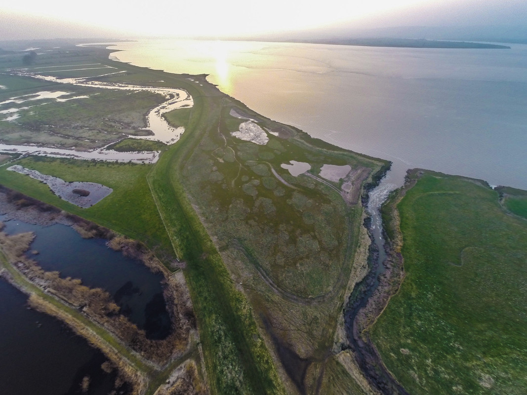 Working Wetlands Survey - United Kingdom & Ireland Lakes Network