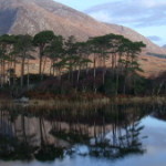 Deirdre Tierney, Author at United Kingdom & Ireland Lakes Network